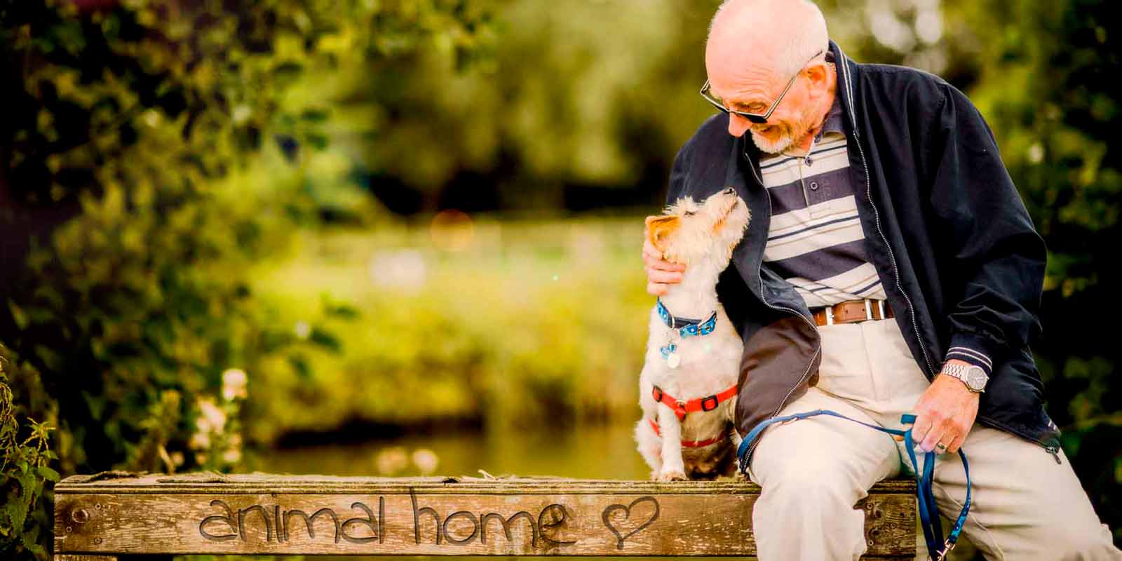 HOSPITAL VETERINARIO | ANIMAL HOME