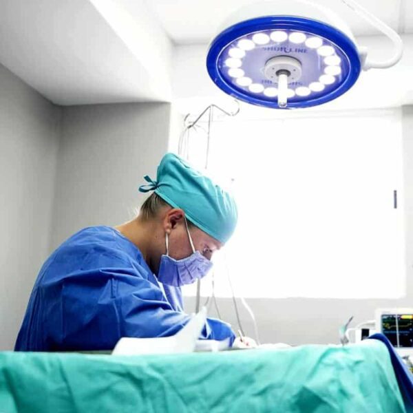 HOSPITAL VETERINARIO | ANIMAL HOME